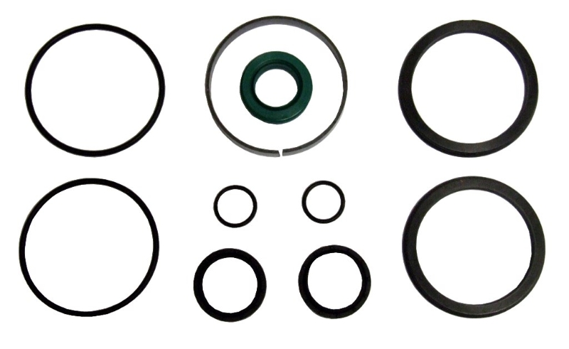 MS Seal Kit Ram for Camozzi Goat (New)